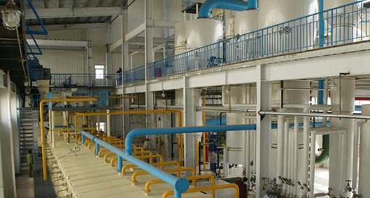 What are the factors that affect the effect of oil extraction? | Food ...